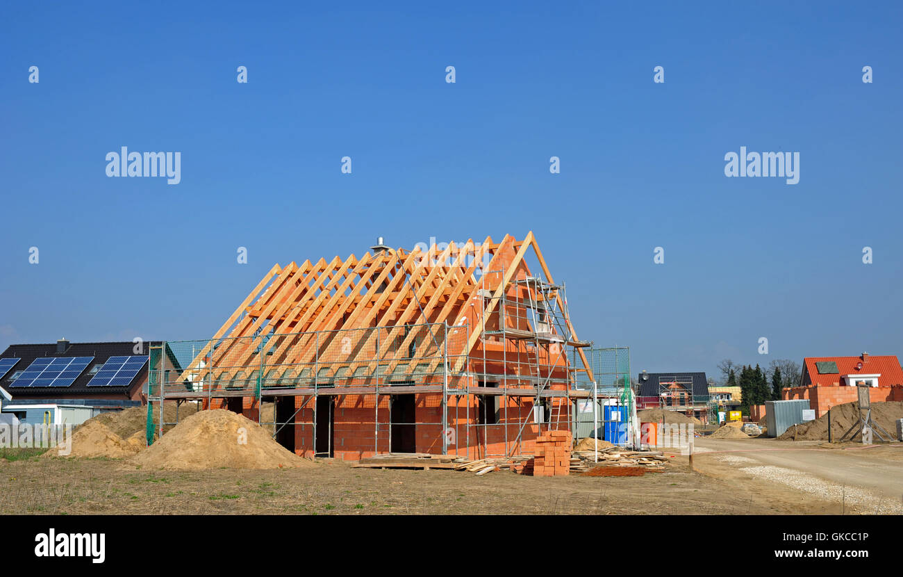 Shell colony hi-res stock photography and images - Alamy