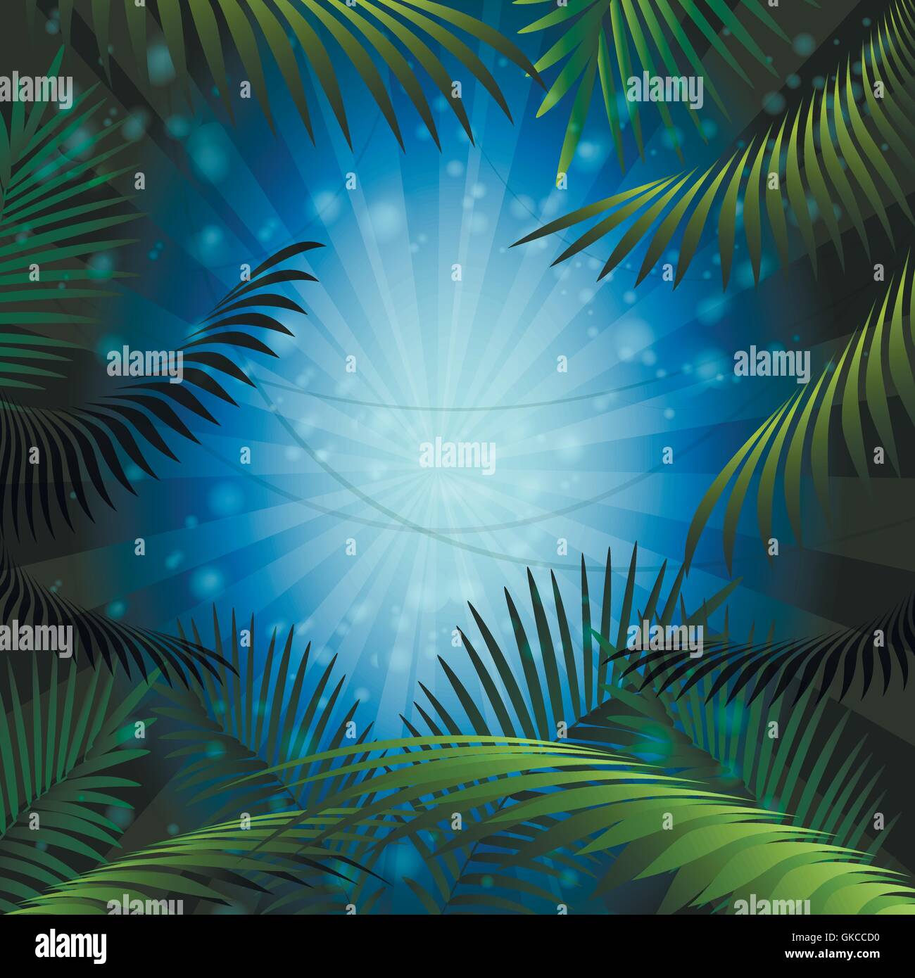 Colorful Frame with tropical jungle trees Stock Vector Image & Art - Alamy