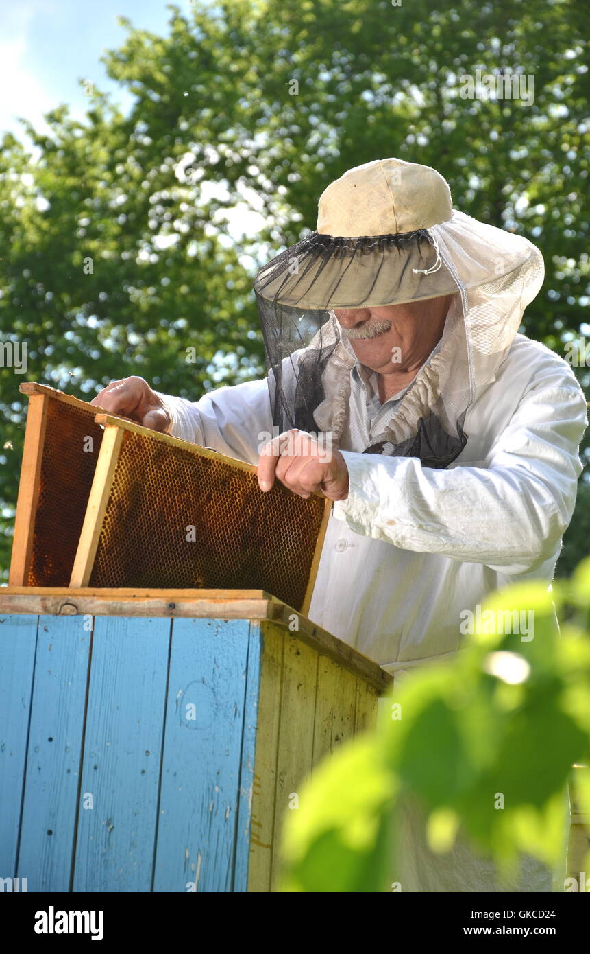 Male business person wax hi-res stock photography and images - Alamy