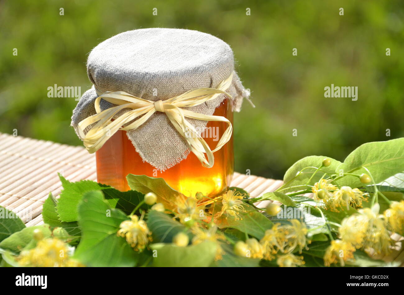 flower plant apiary Stock Photo - Alamy
