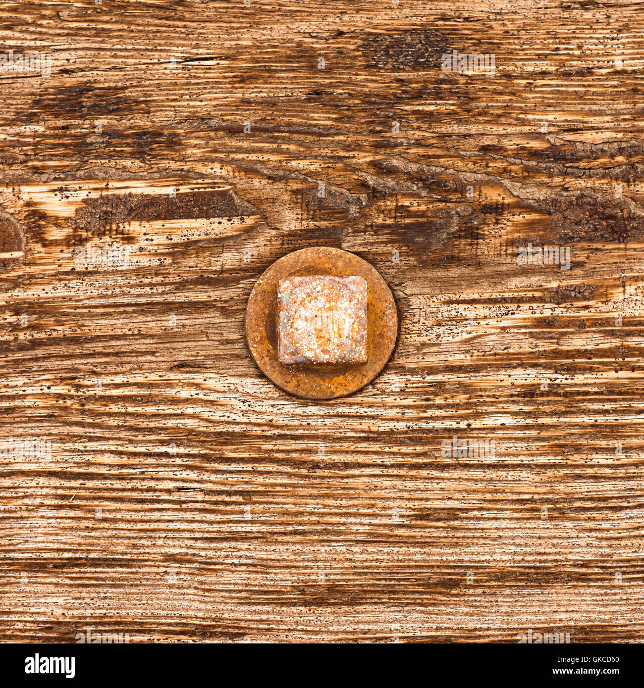 Rusty bolt head on wood Stock Photo - Alamy