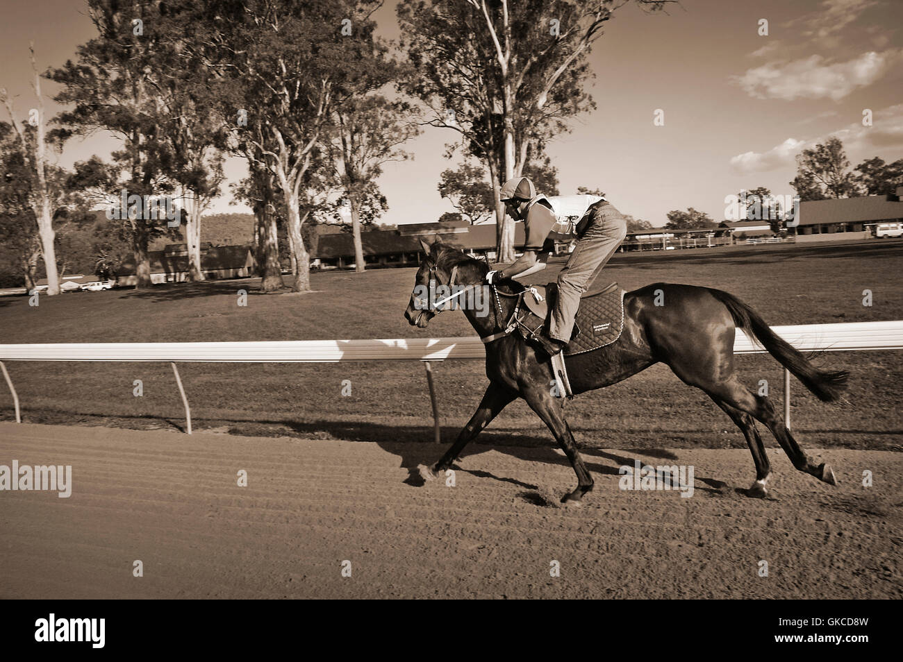 race horse training on the tracks Stock Photo - Alamy