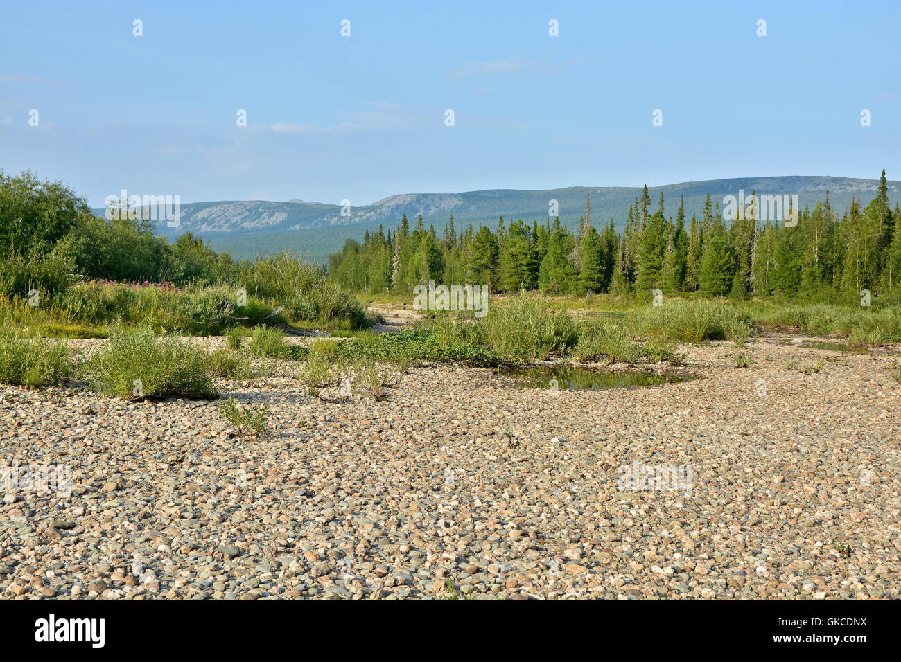 The object of UNESCO world heritage site "Virgin Komi forests". The ...