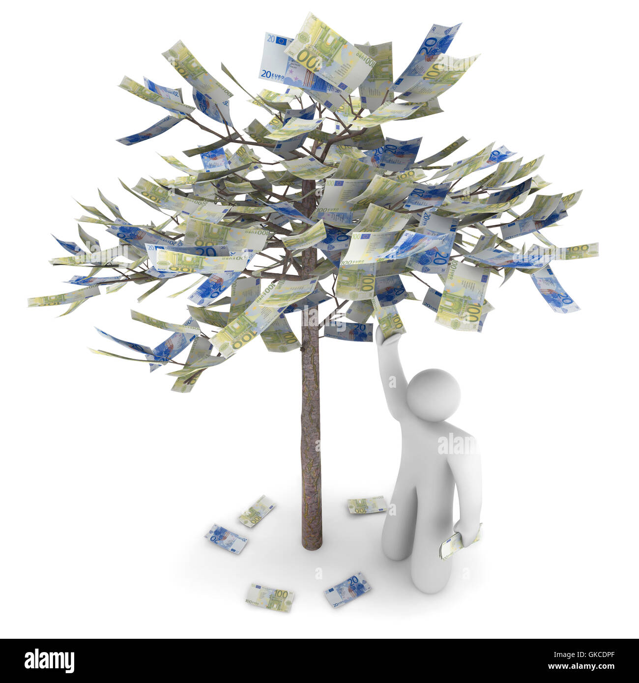 Easy growing trees hi-res stock photography and images - Alamy