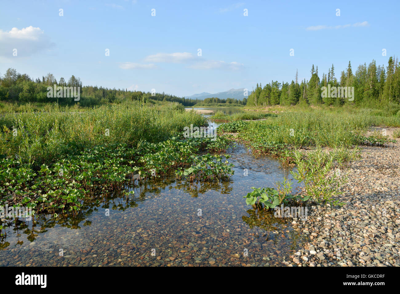 The object of UNESCO world heritage site "Virgin Komi forests". The ...