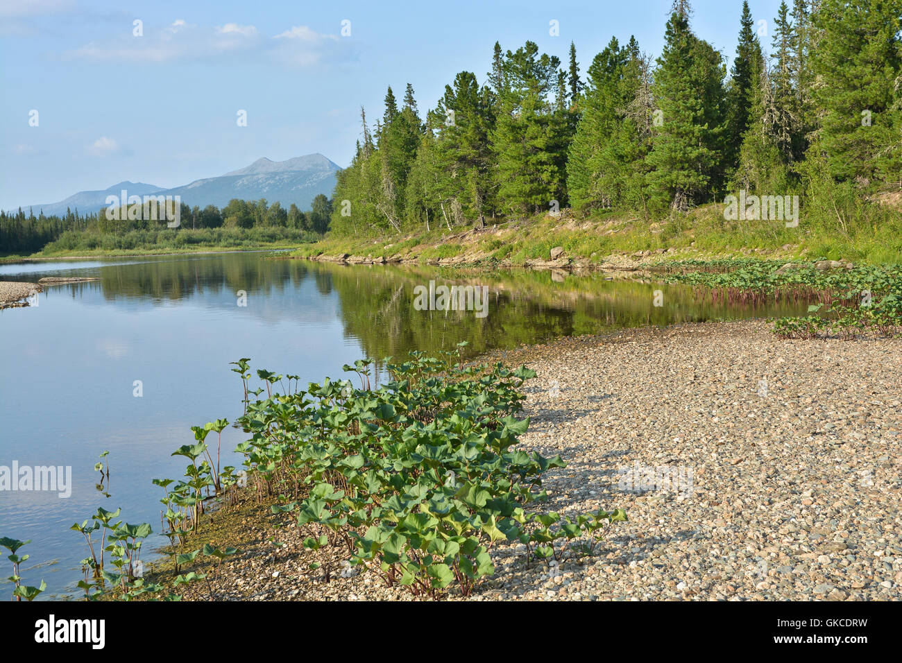 The object of UNESCO world heritage site "Virgin Komi forests". The ...