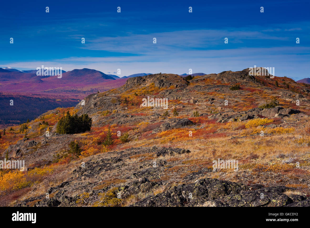 Canada tundra distance hi-res stock photography and images - Alamy