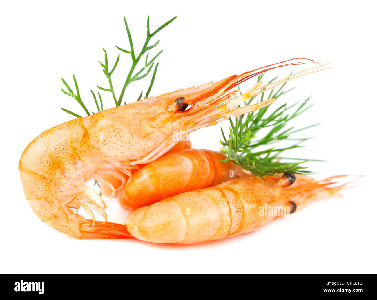 Shrimp sandwich macro hi-res stock photography and images - Alamy
