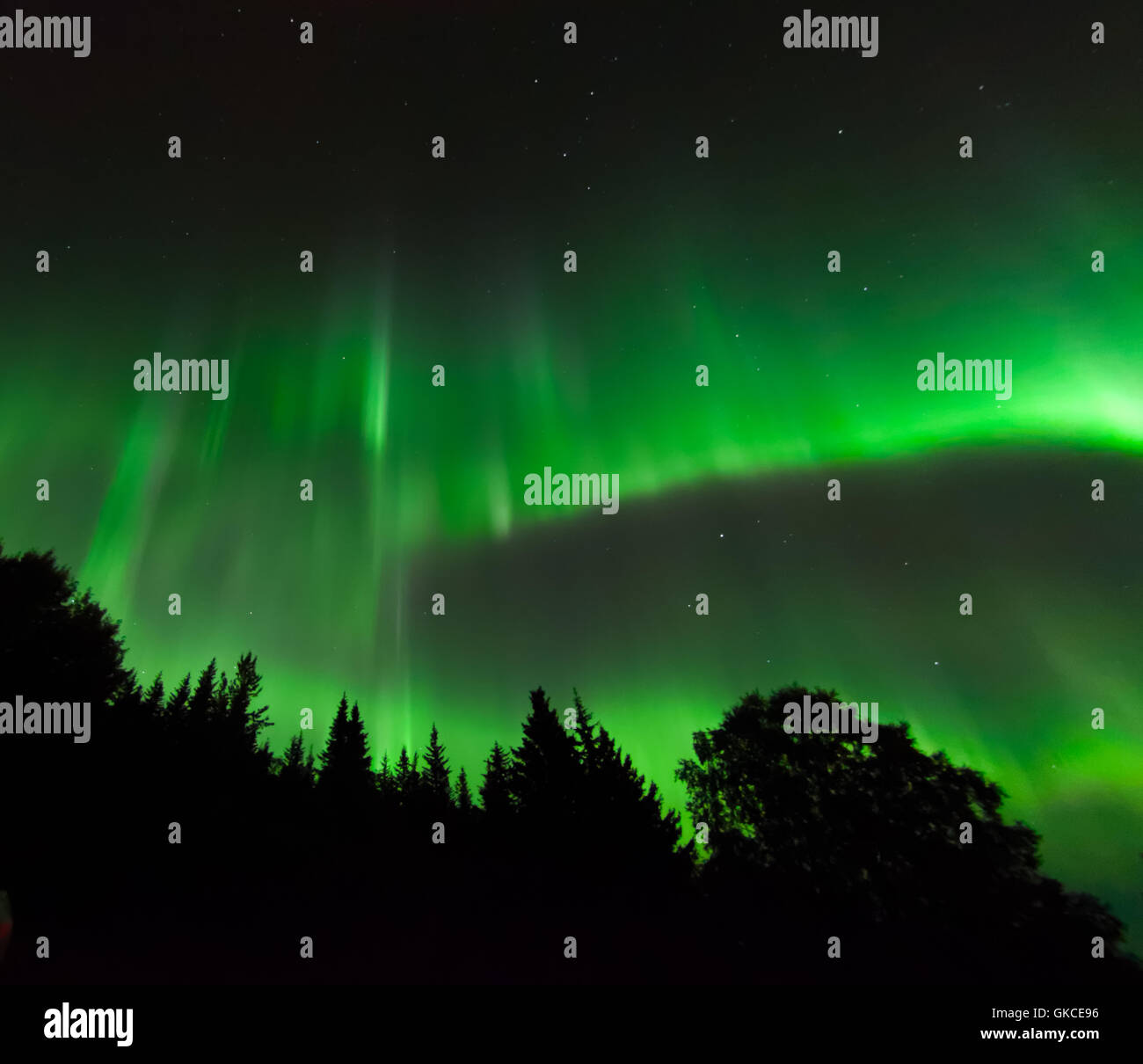 Aurora borealis northern lights curtain hi-res stock photography and ...