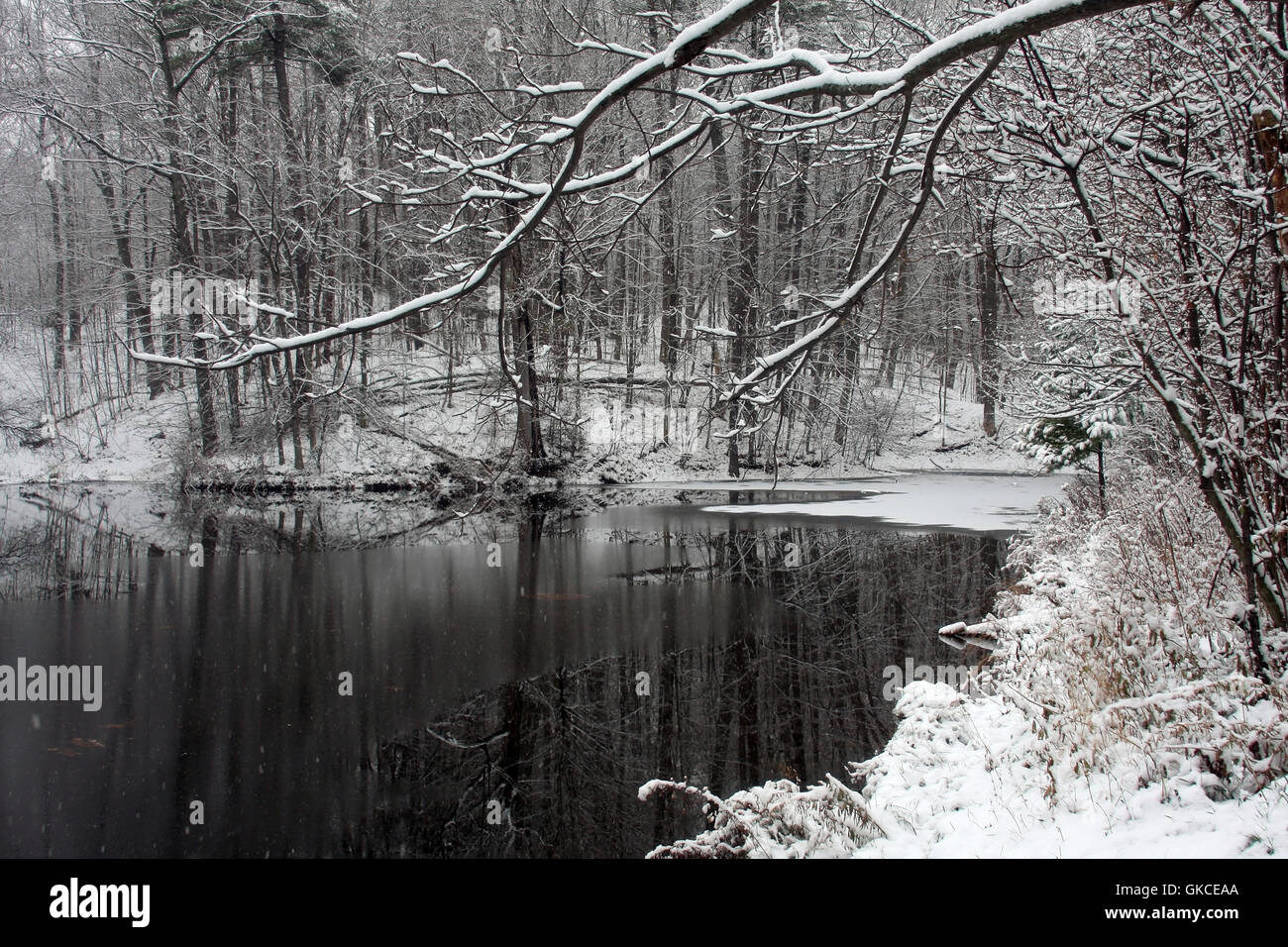 Pond In Winter Stock Photo - Alamy