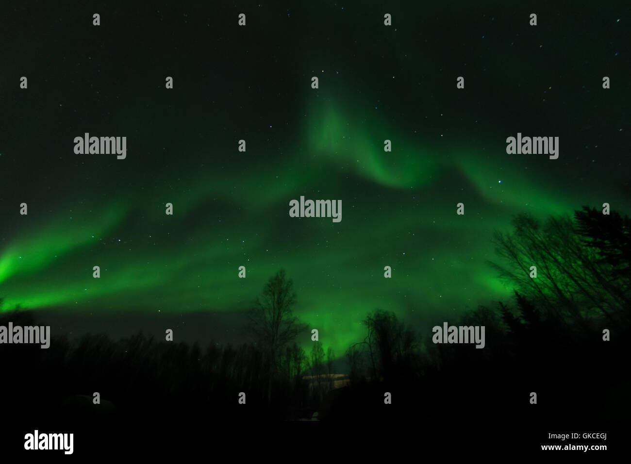 Aurora borealis alaska trees hi-res stock photography and images - Alamy