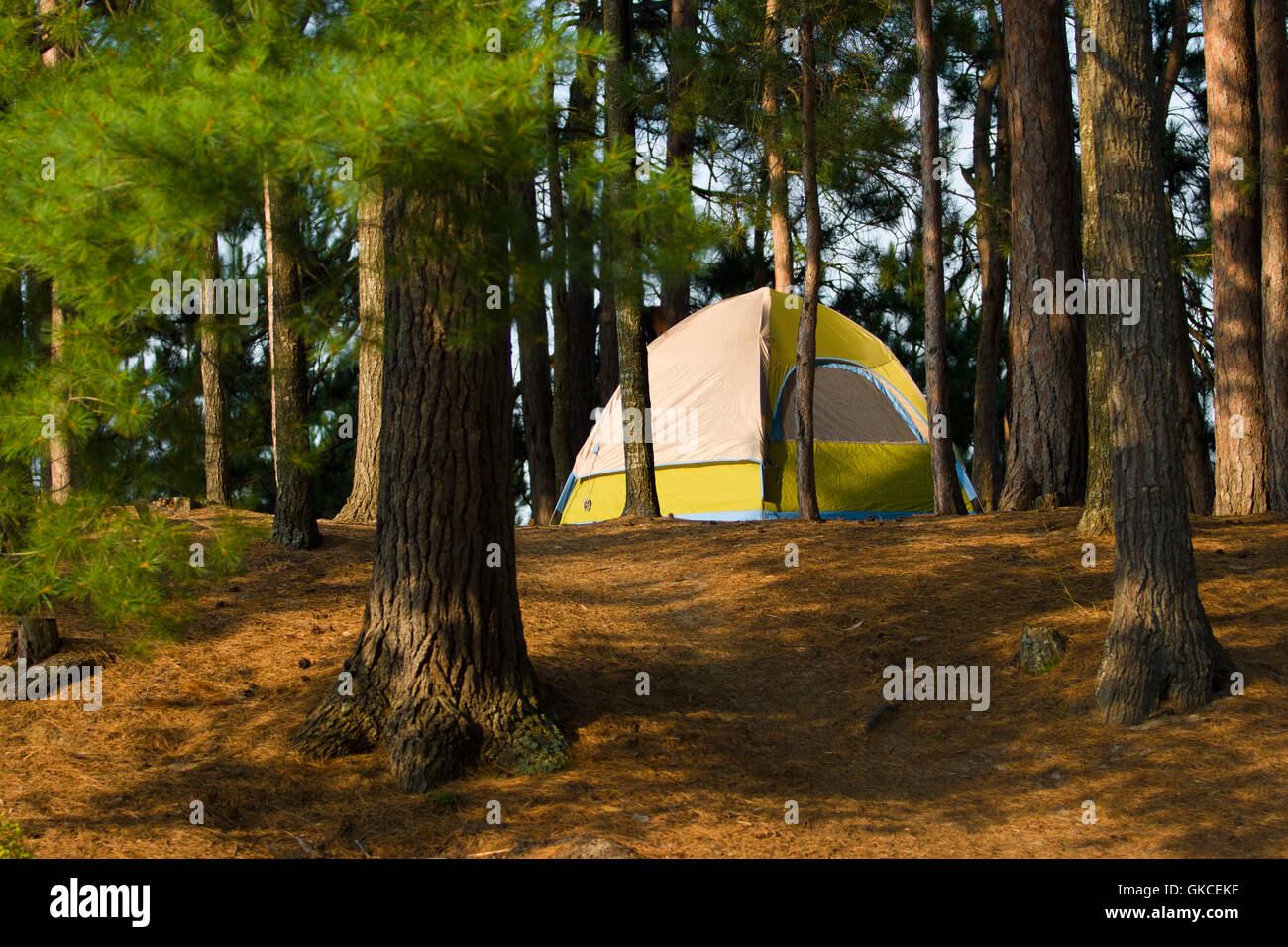 Wild camping site hi-res stock photography and images - Alamy