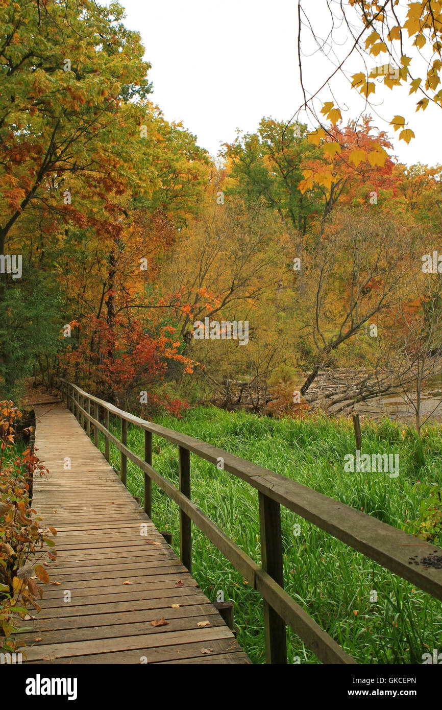 Boardwalk in the fall Stock Photo - Alamy
