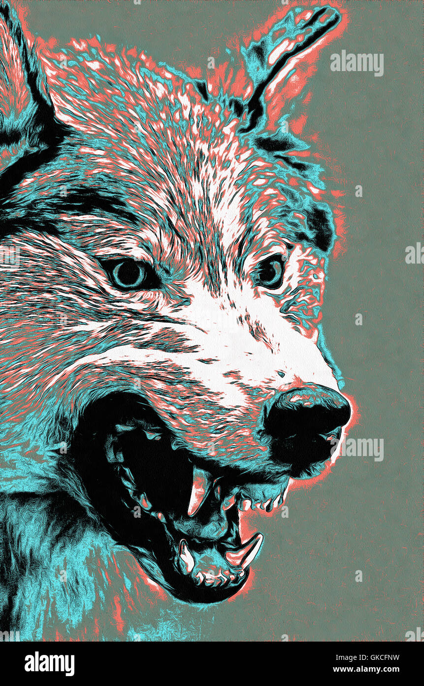 Wolf or gray wolf, or common wolf (lat. Canis lupus) - kind of ...