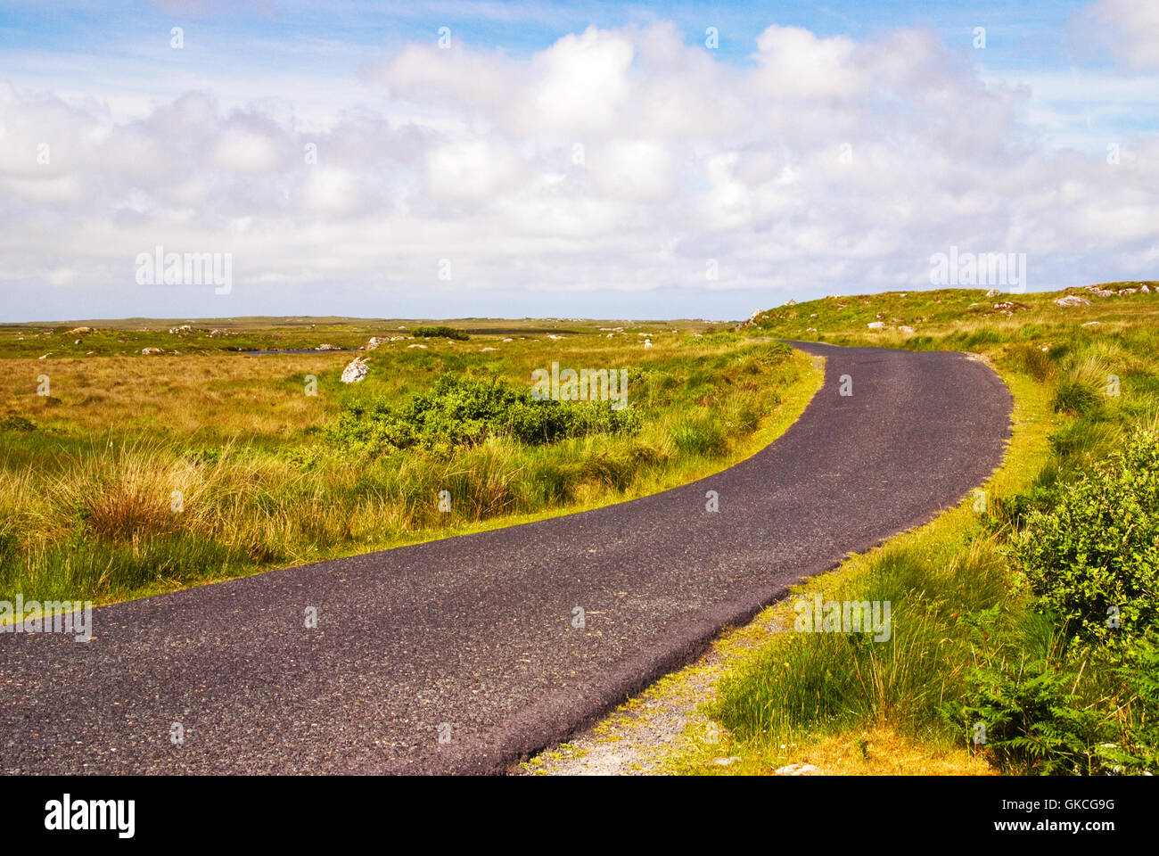 The bog road hi-res stock photography and images - Alamy
