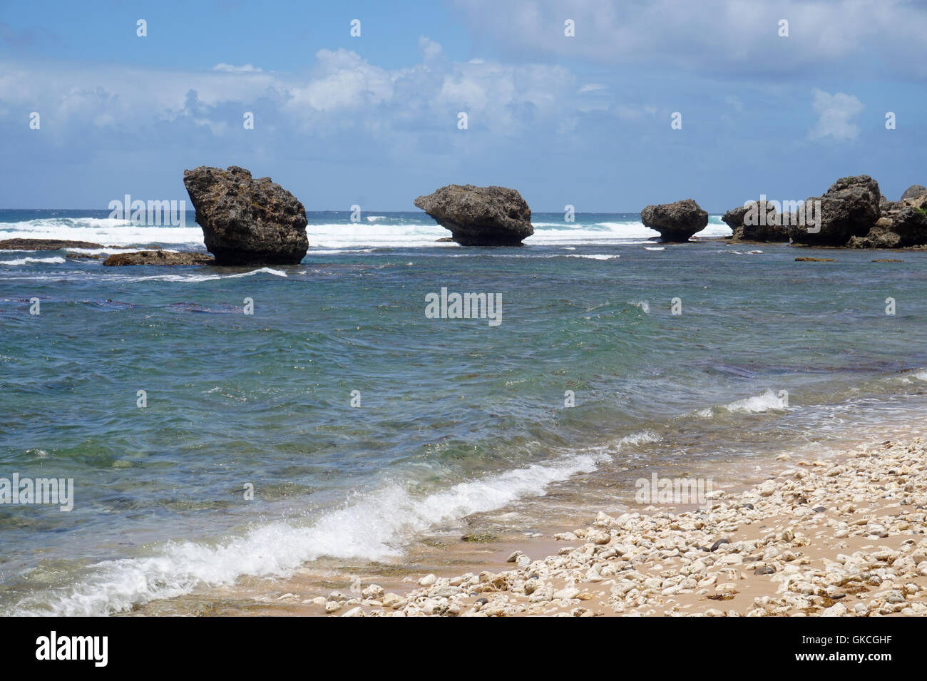 Rocks on Bathsheba's beach, Barbados Stock Photo - Alamy