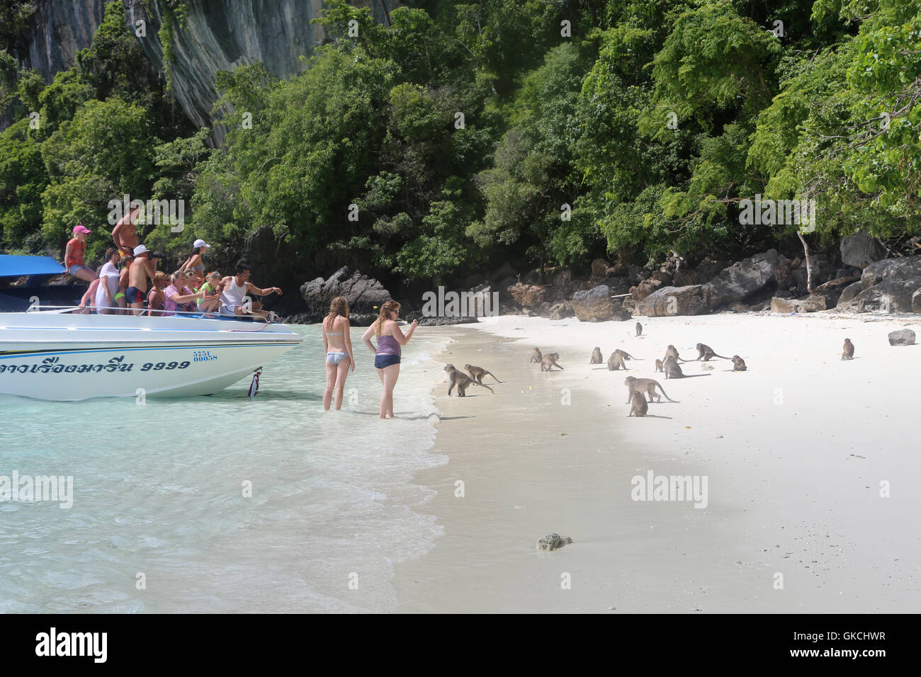 A boat load of tourists interact with the local monkey population on ...