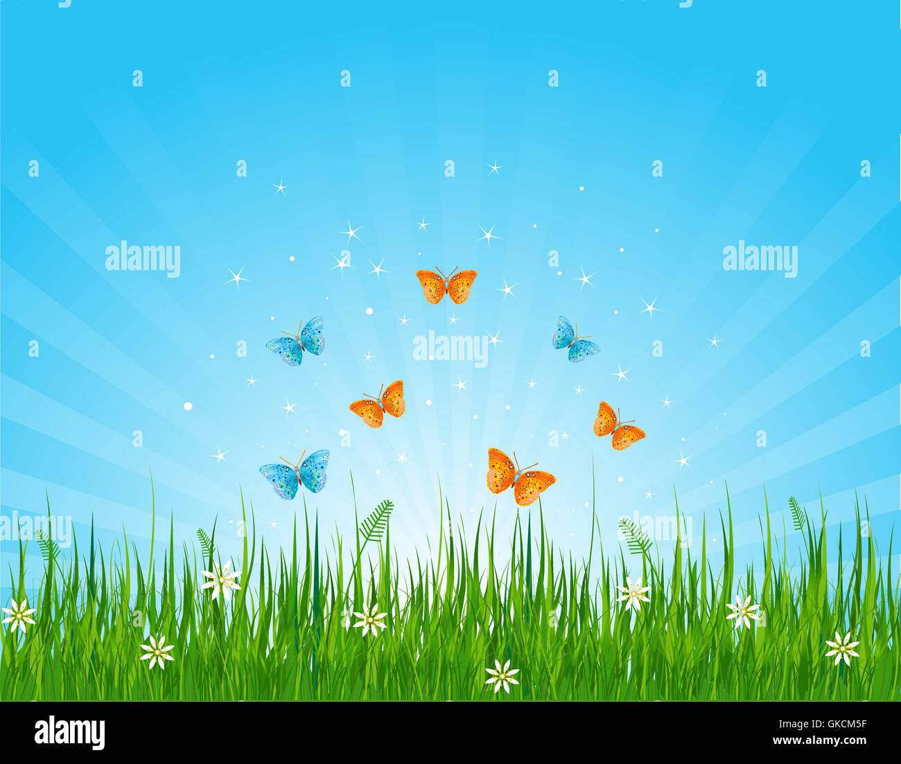 Grassy field and butterflies Stock Vector Image & Art - Alamy
