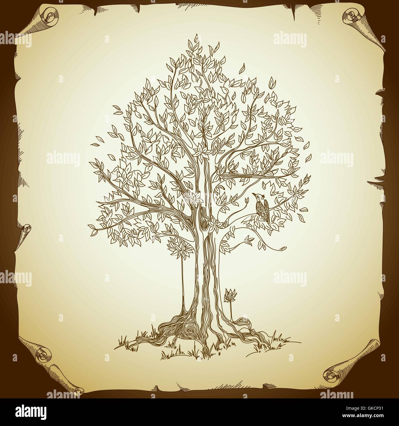 Old ancient tree Stock Vector Images - Alamy