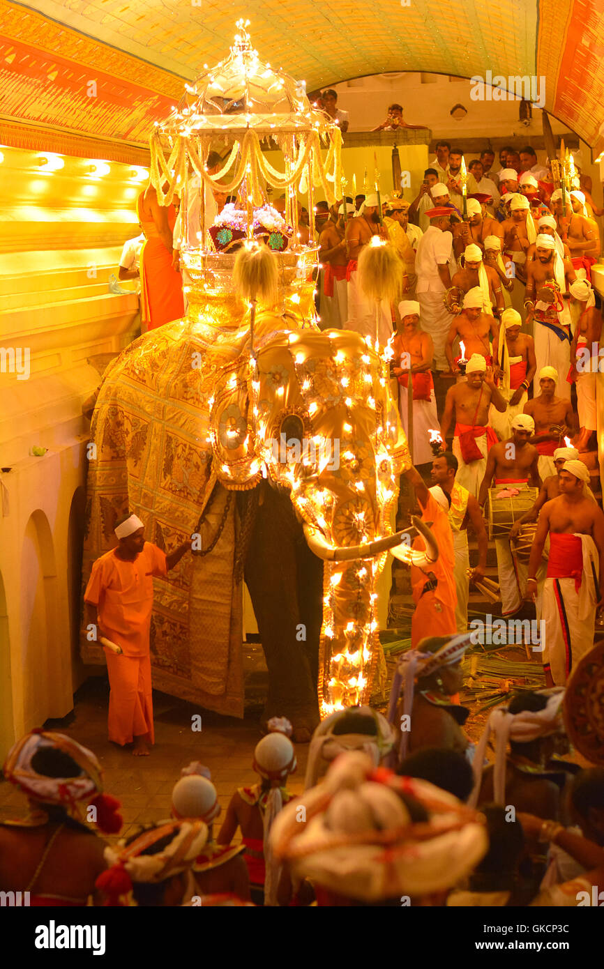 Kandy Esala procession, Sri Lanka Stock Photo - Alamy