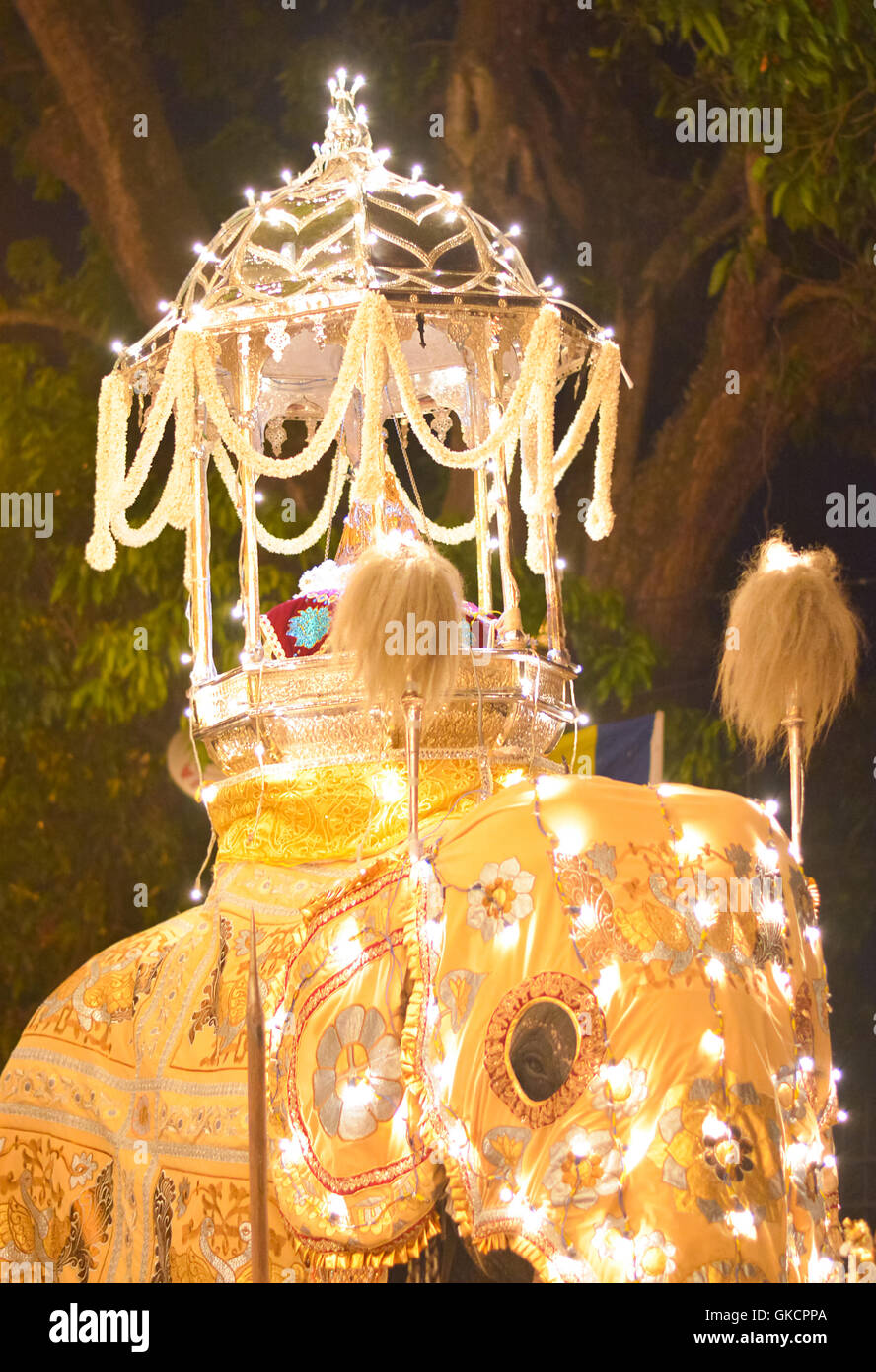Kandy Esala procession, Sri Lanka Stock Photo - Alamy