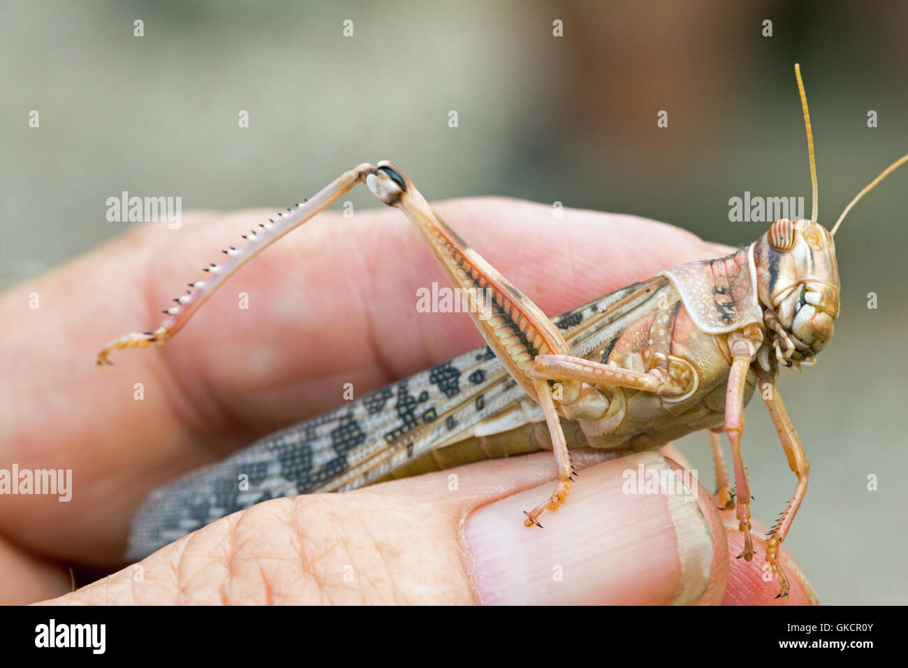 Photographers legs hi-res stock photography and images - Alamy