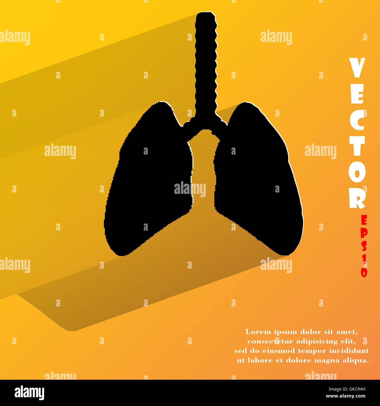 Lung shape Stock Vector Images - Alamy