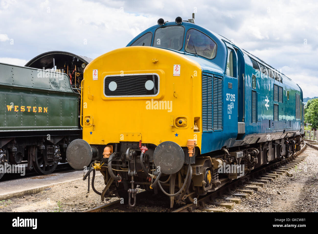 The Growler Groups Class 37 37215 on the diesel depot at Toddington on ...