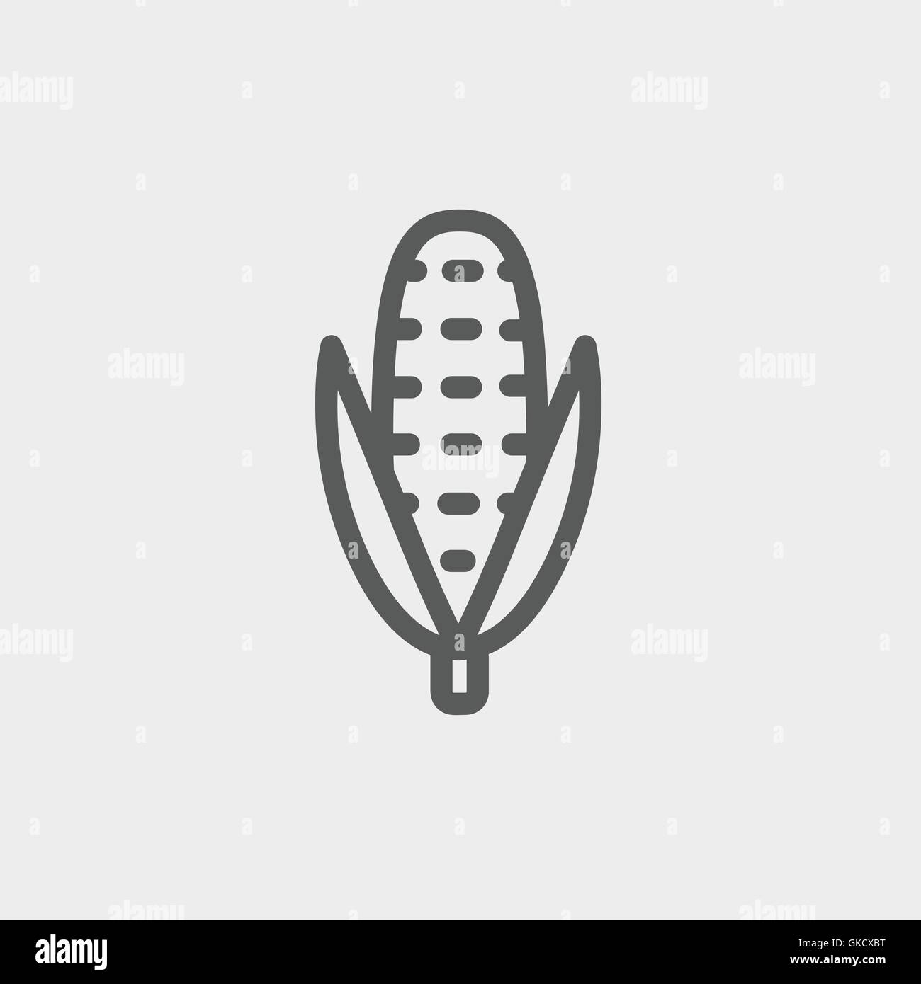 Corn thin line icon Stock Vector Image & Art - Alamy