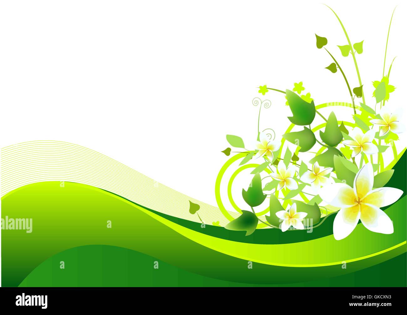 Spring vine Stock Vector Images - Alamy