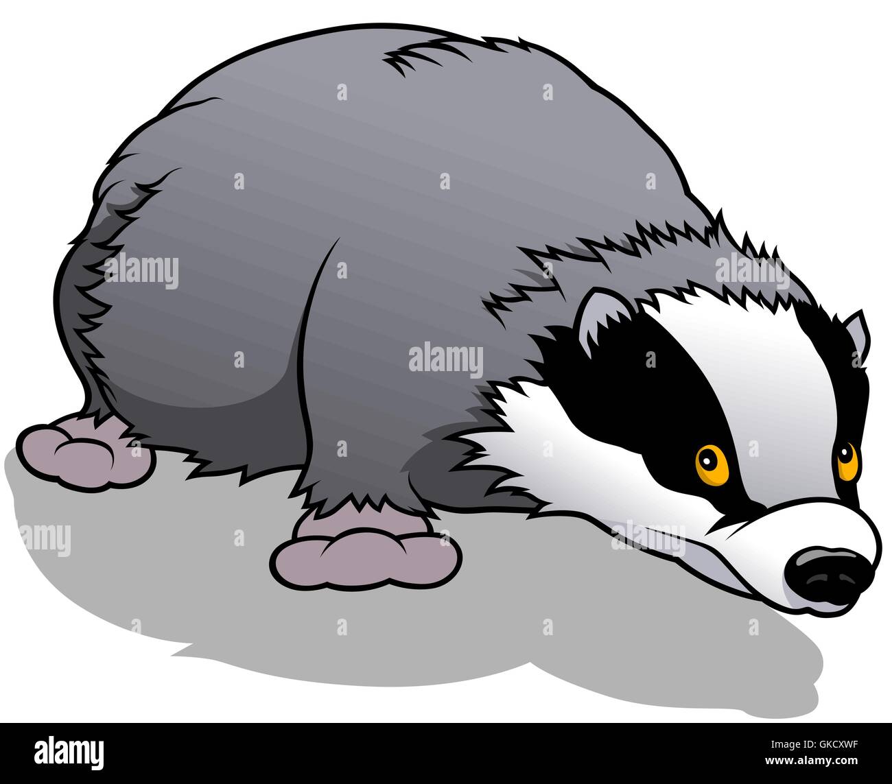 Cartoon badger vector hi-res stock photography and images - Alamy