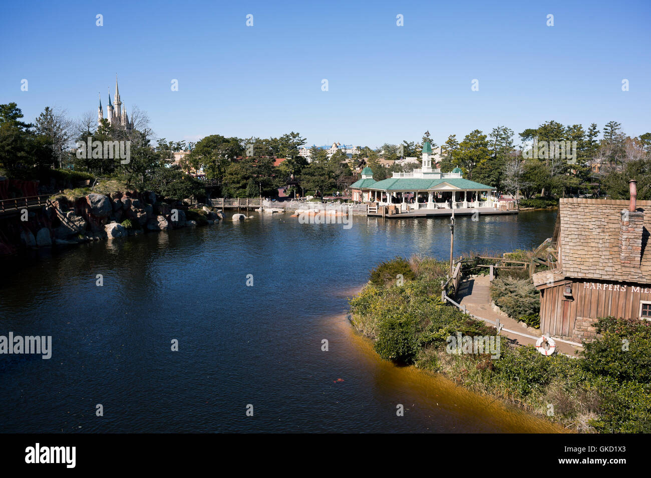 Pink tulip flowers in Tokyo Disneyland Stock Photo - Alamy