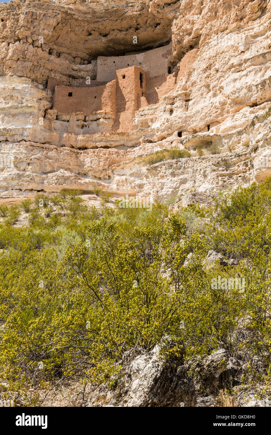 Yellow wildflowers below the Native American cliff dwellings in ...
