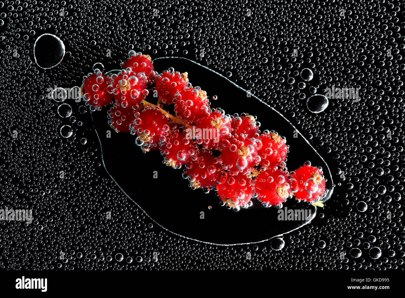 Motion ripe redcurrant berries on hi-res stock photography and images ...