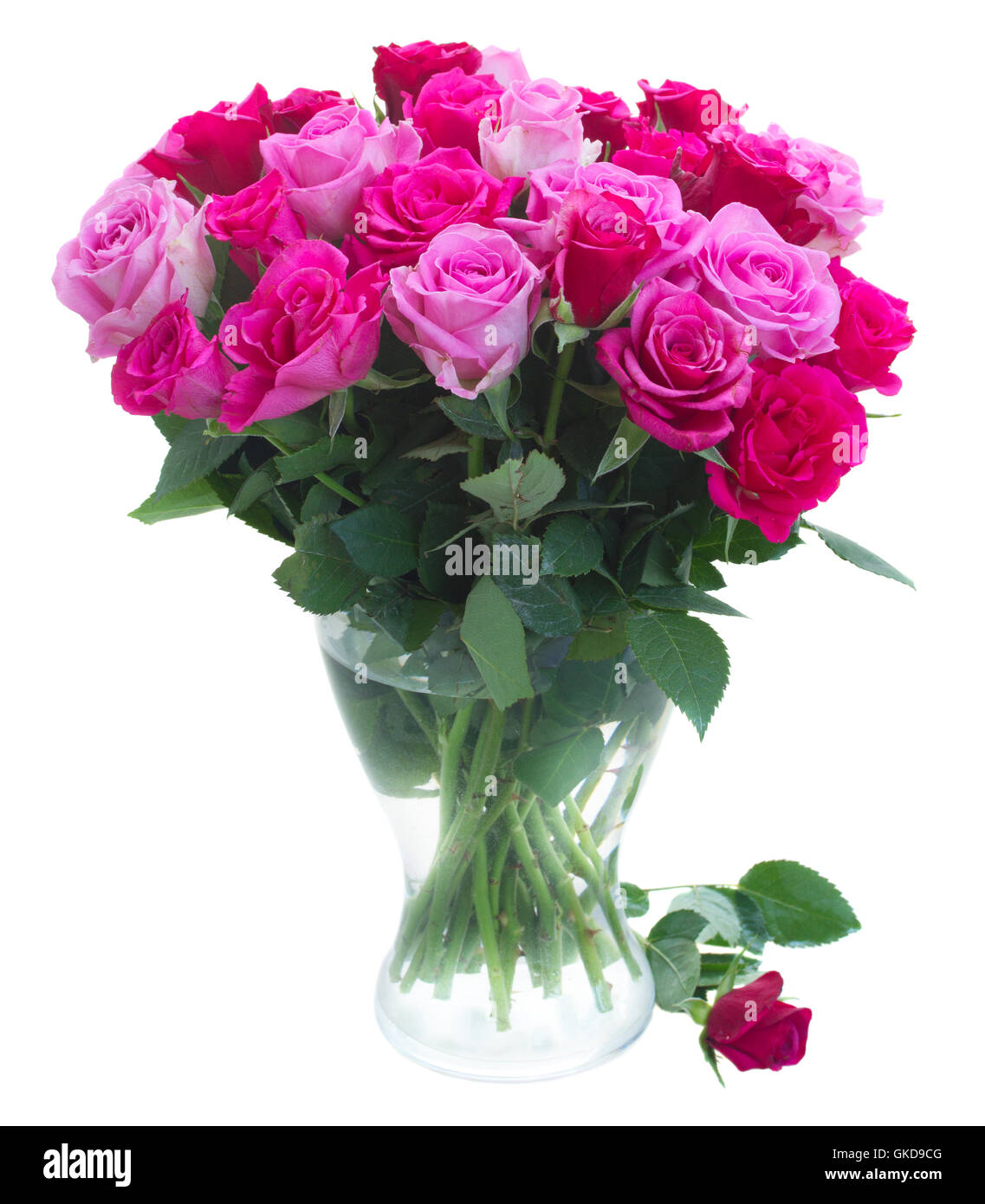 bouquet of fresh pink roses Stock Photo - Alamy