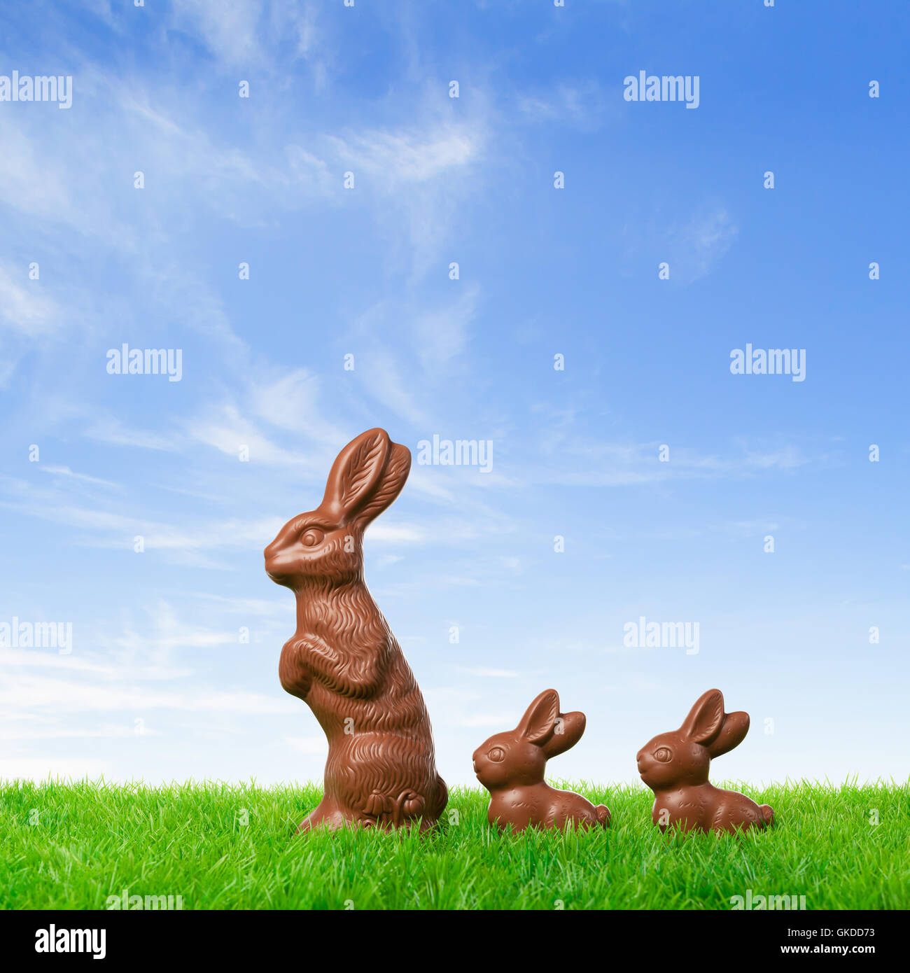 Rabbit peeking out hi-res stock photography and images - Alamy