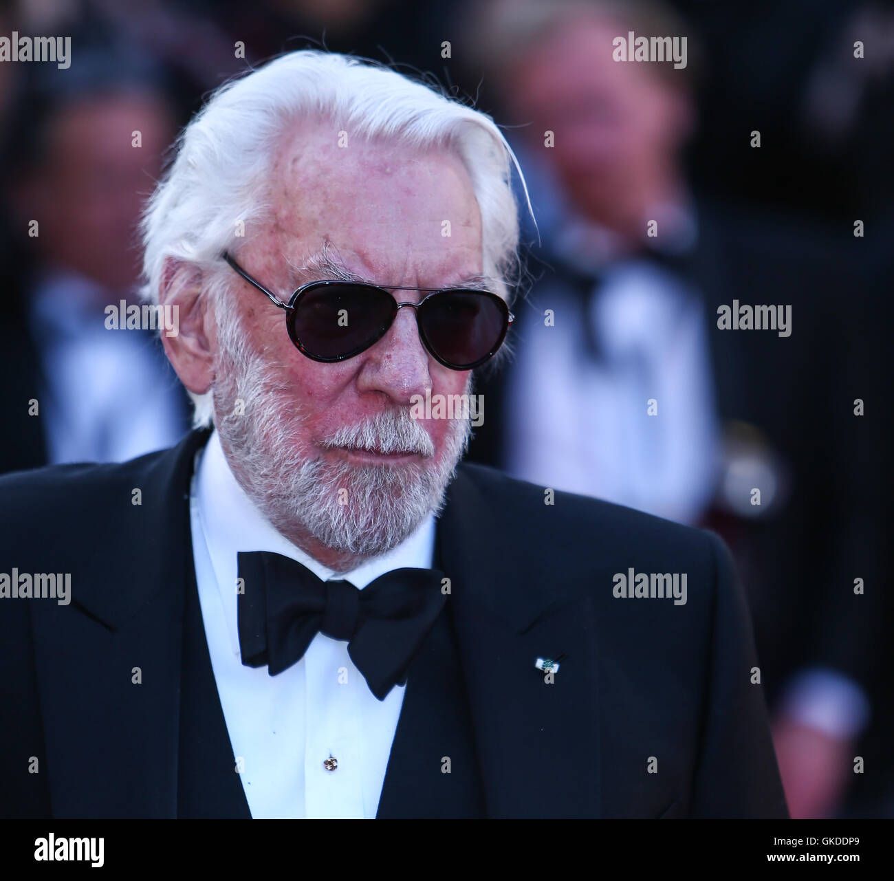 69th Cannes Film Festival - 'The Last Face' - Premiere Featuring ...