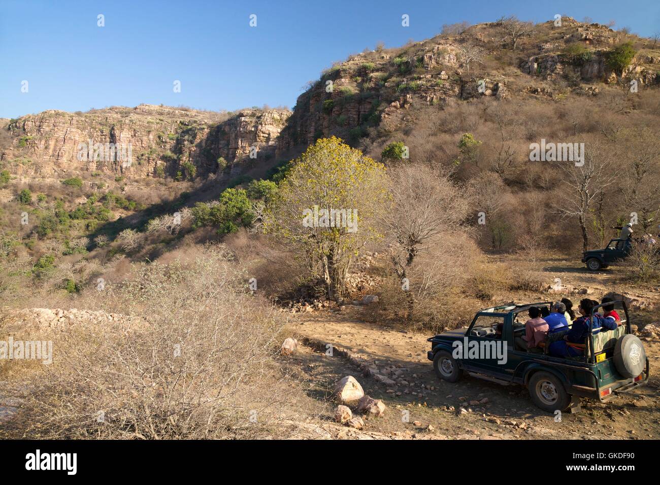 Tourists on safari in open jeep, Ranthambore National Park, Rajasthan ...