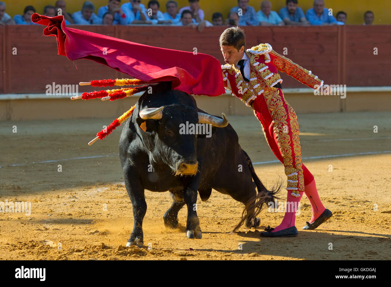 bull spain france Stock Photo - Alamy