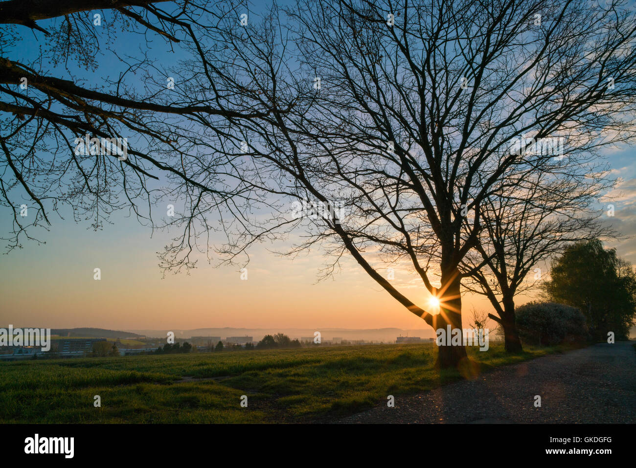 Sunrise and one tree Stock Photo - Alamy