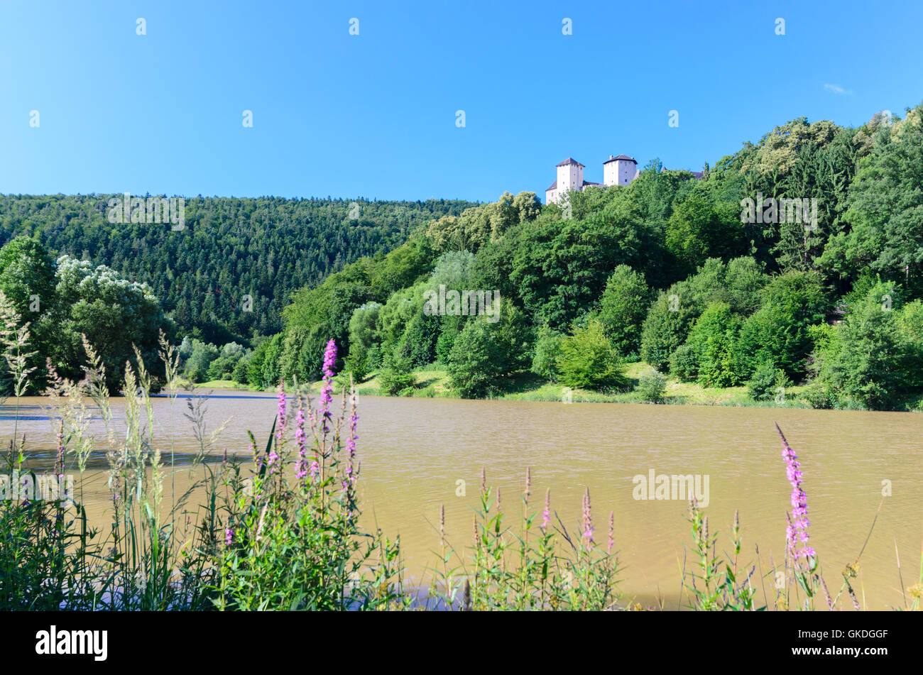 Lockenhaus: Lockenhaus Castle over a reservoir of stream Güns, Austria ...