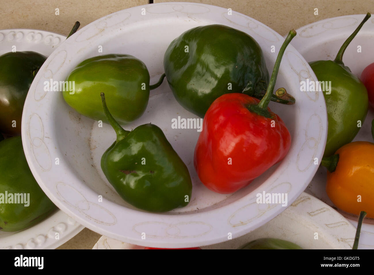 Capsicum for sale at a Sunday Market in Auckland Stock Photo - Alamy
