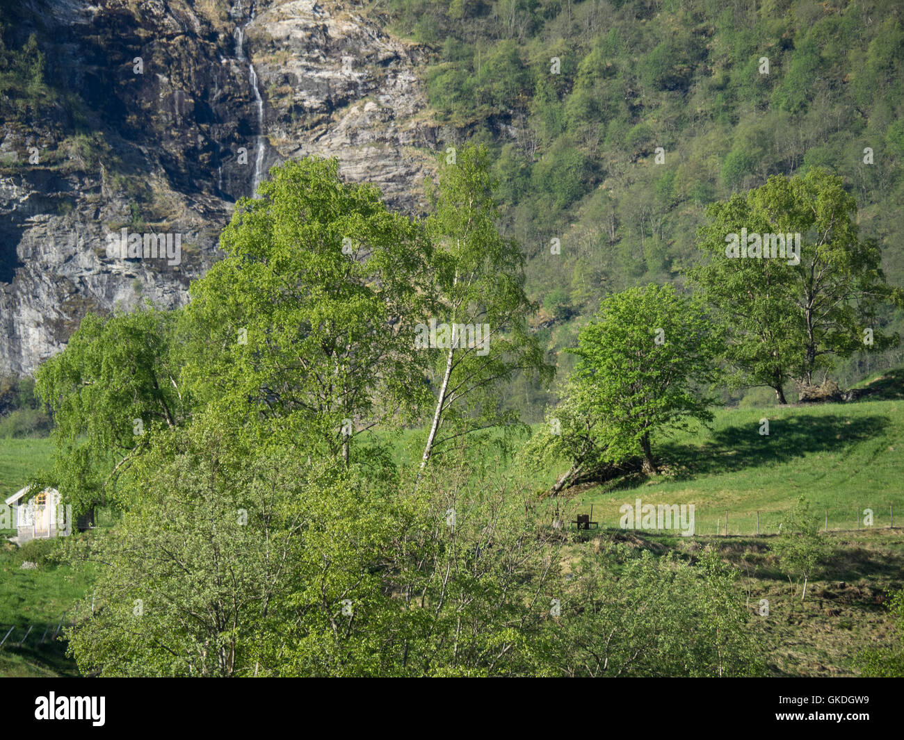 Spring in norway Stock Photo - Alamy