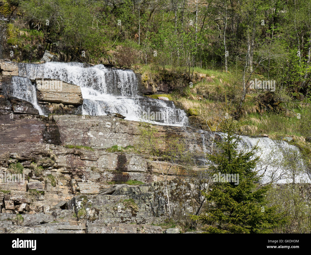 Spring in norway Stock Photo - Alamy