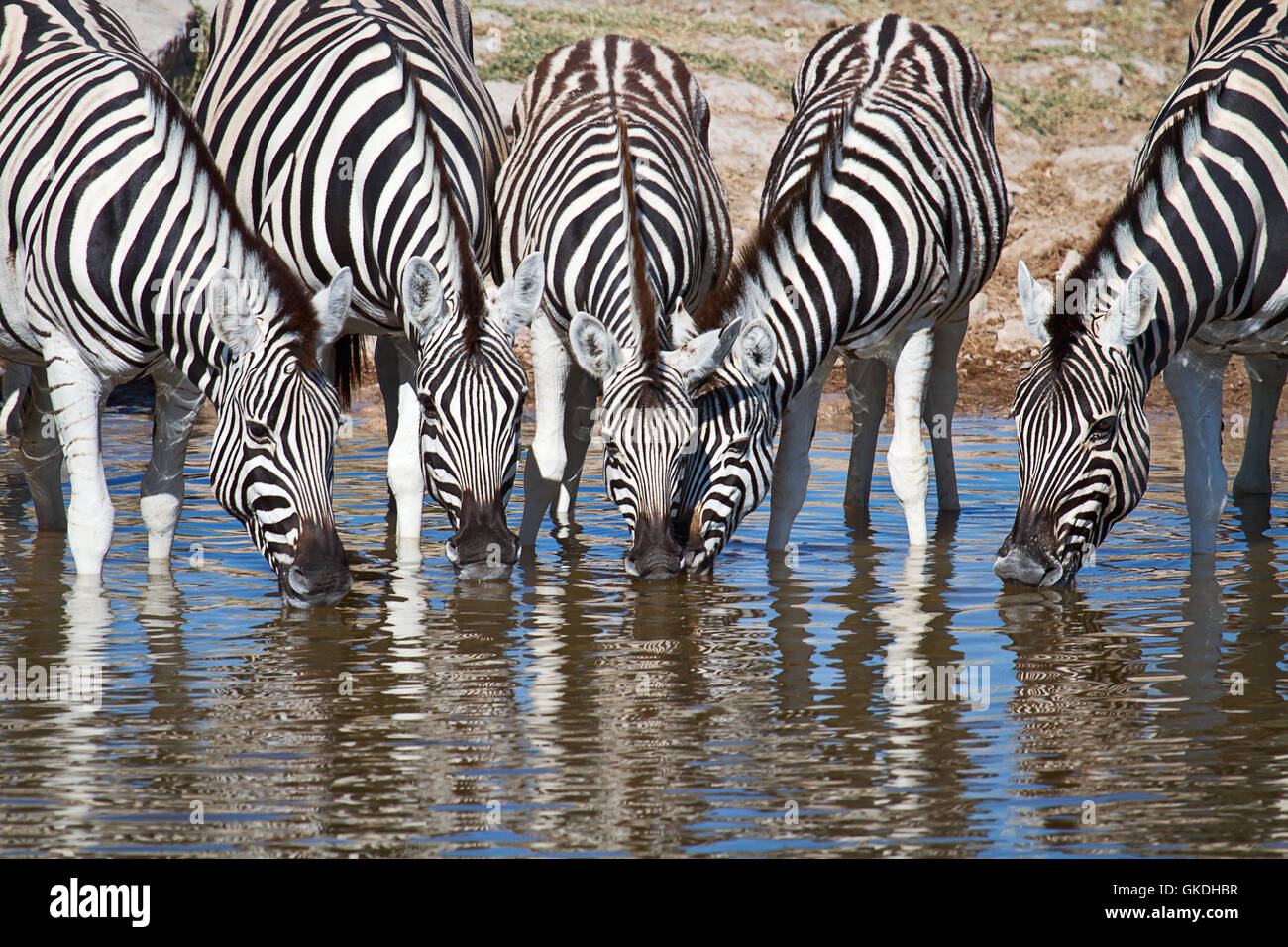 Namibia vacations hi-res stock photography and images - Alamy
