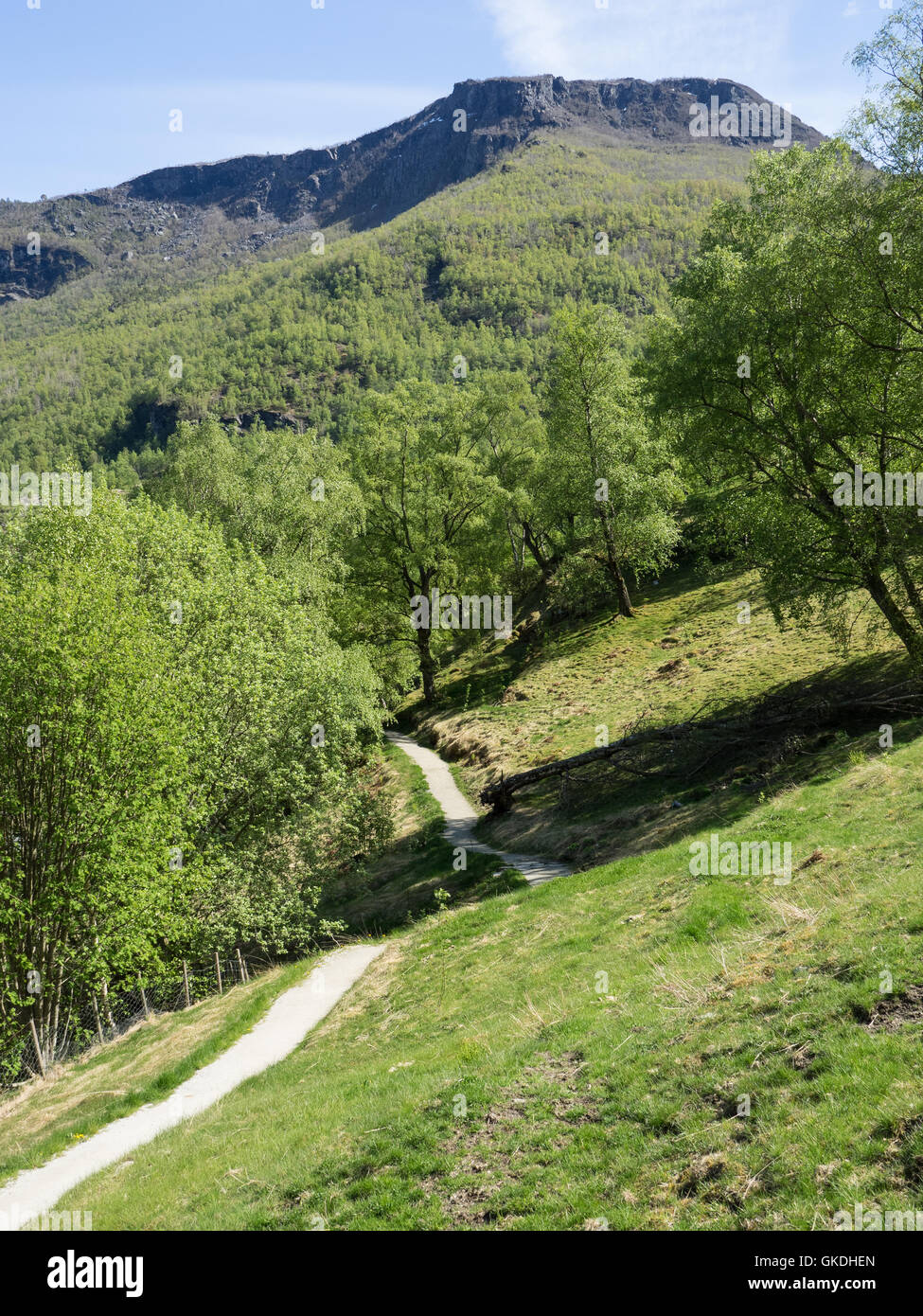 Spring in norway Stock Photo - Alamy