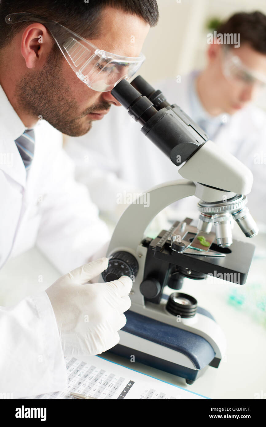 study humans human beings Stock Photo - Alamy