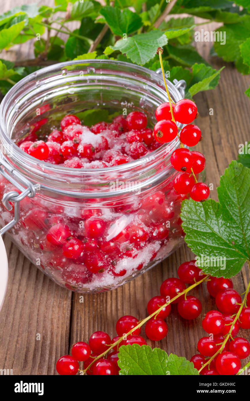 sugared red currant Stock Photo - Alamy