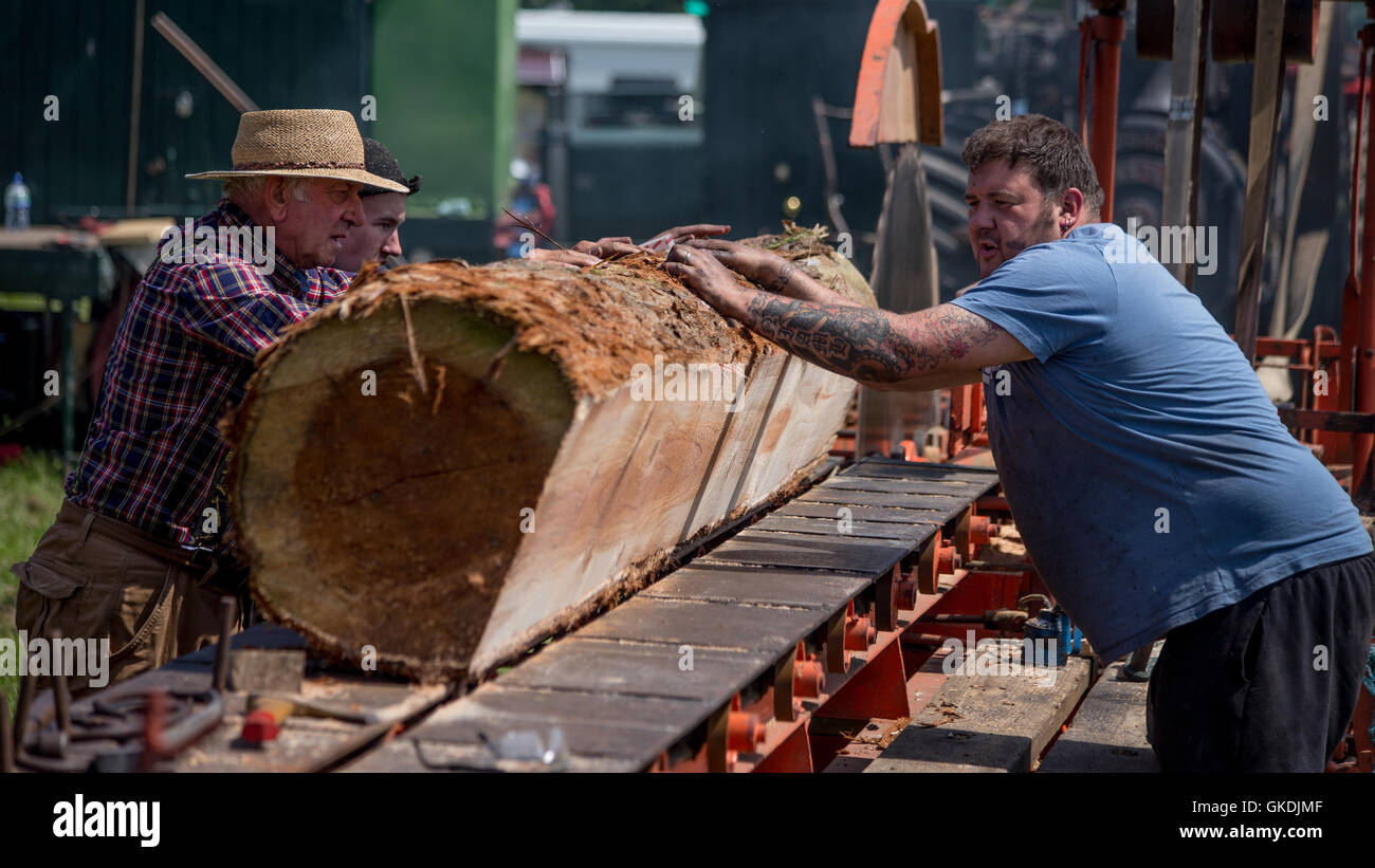 A Timber milling cutting steam engine belt driven ban saw machine ...