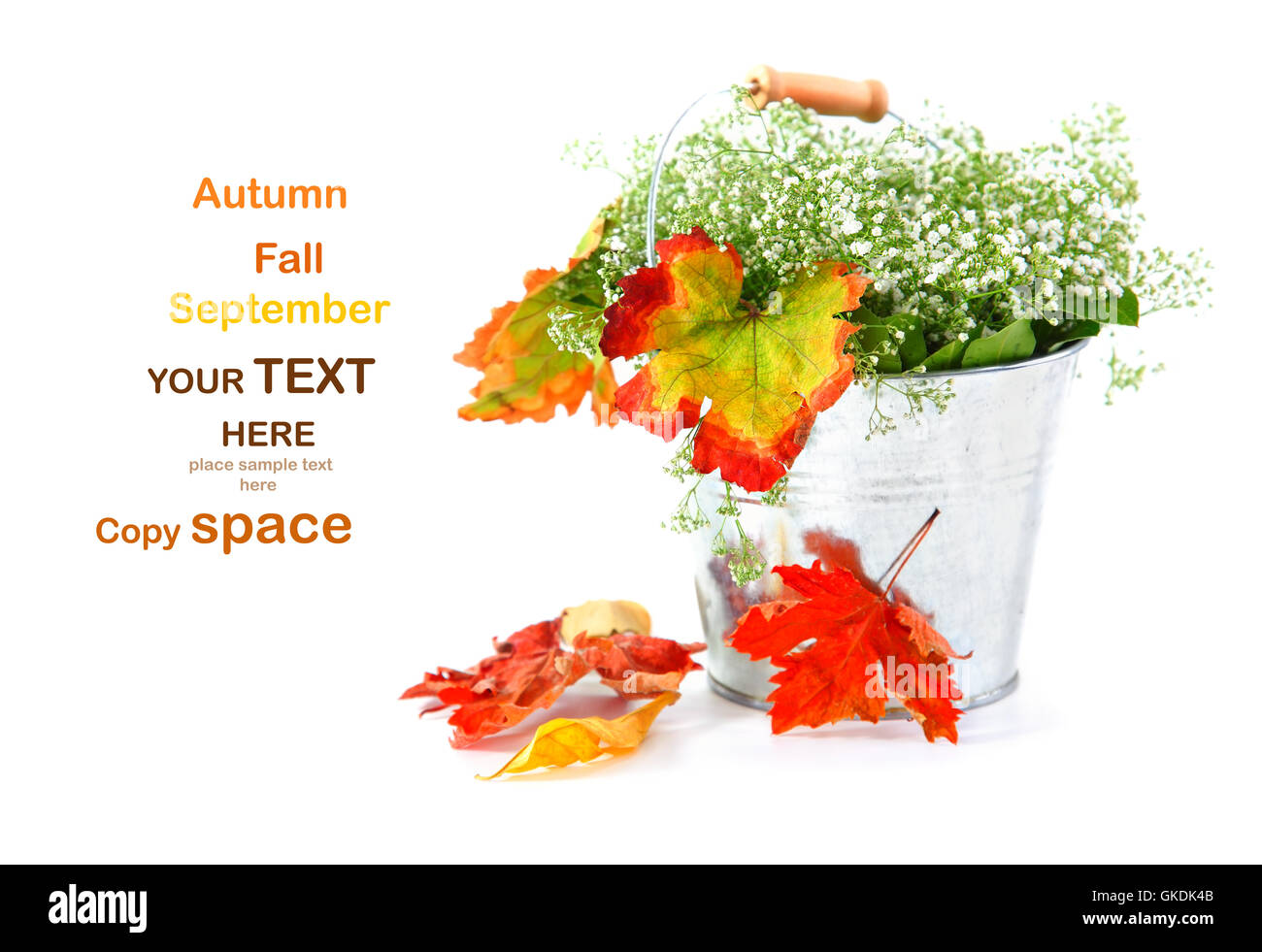 Lawn flowers september hi-res stock photography and images - Alamy
